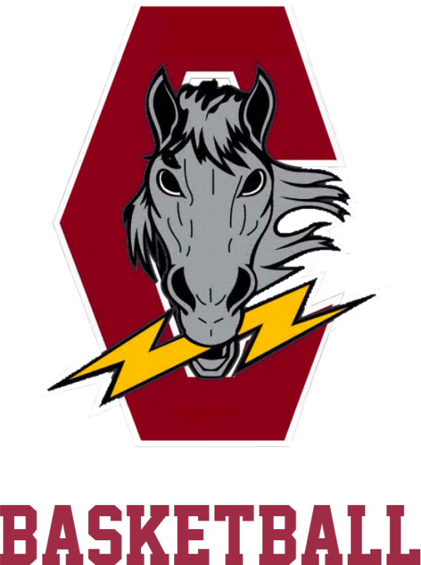 Chancellors School Logo
